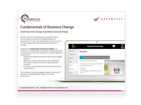 Leadership Simulation Brochures